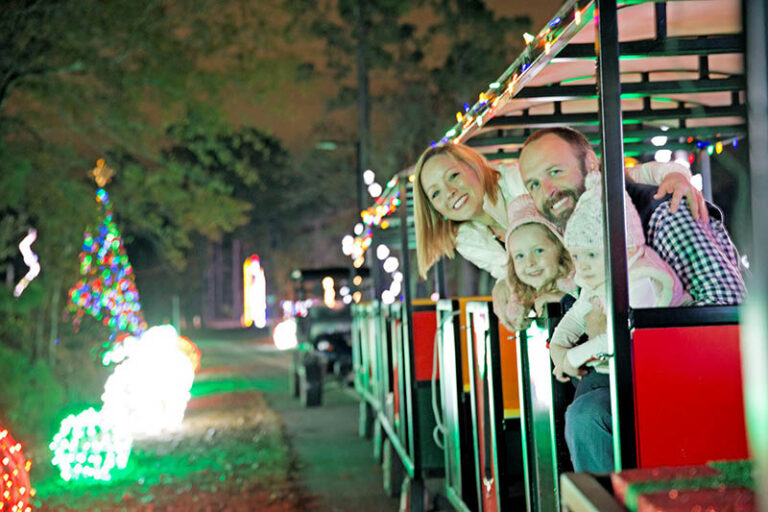 The 10 Best Christmas Lights in South Carolina