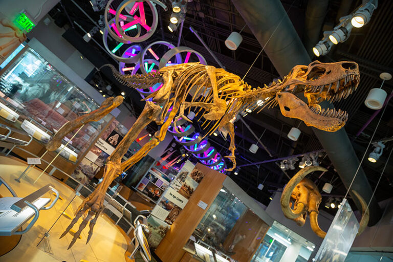 Top Dinosaur Museums In NC and SC - Carolina Traveler