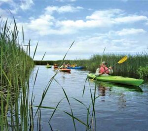 The ACE Basin: An Eco-Tour Itinerary In The Lowcountry