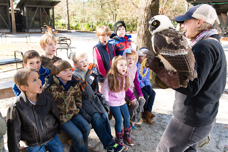 Visit Raptor Centers Across The Carolinas - Carolina Traveler