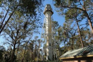 Tour The 11 Fascinating Lighthouses In South Carolina - Carolina Traveler