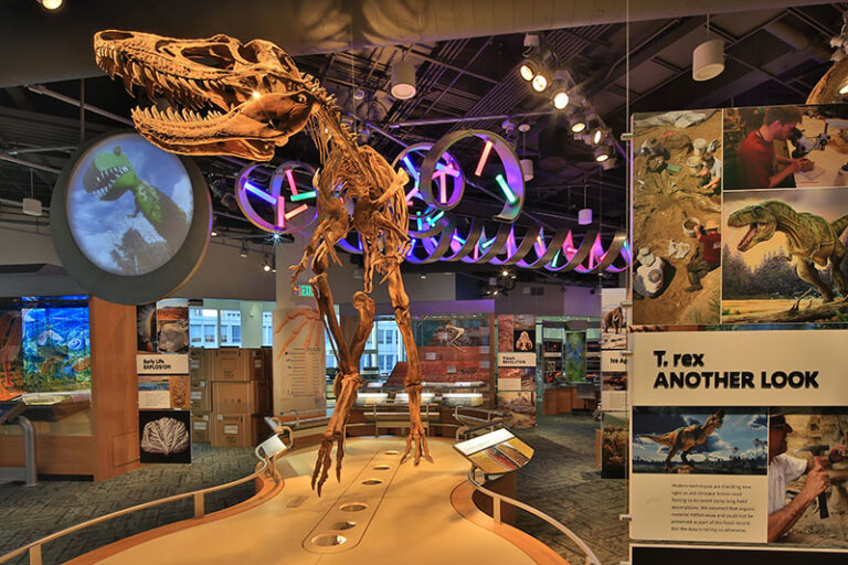 Top Dinosaur Museums In NC and SC - Carolina Traveler