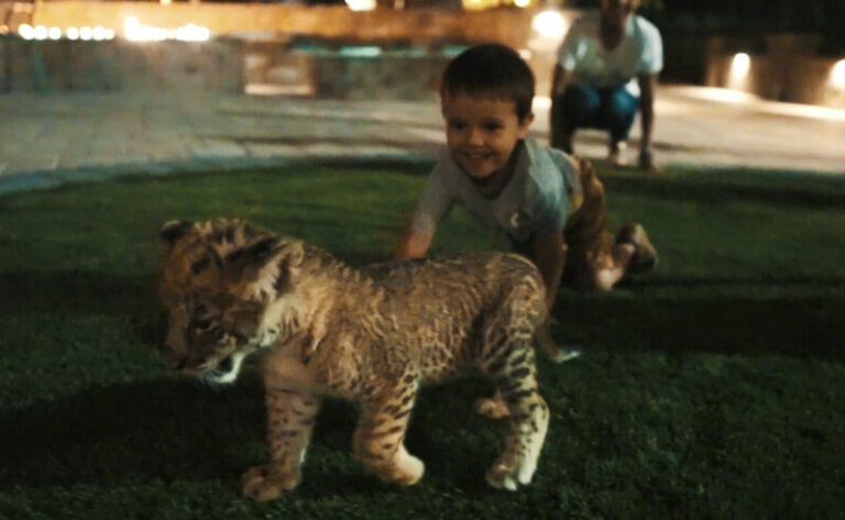 Myrtle Beach Safari: A Fun Family-Friendly Activity At Myrtle Beach ...