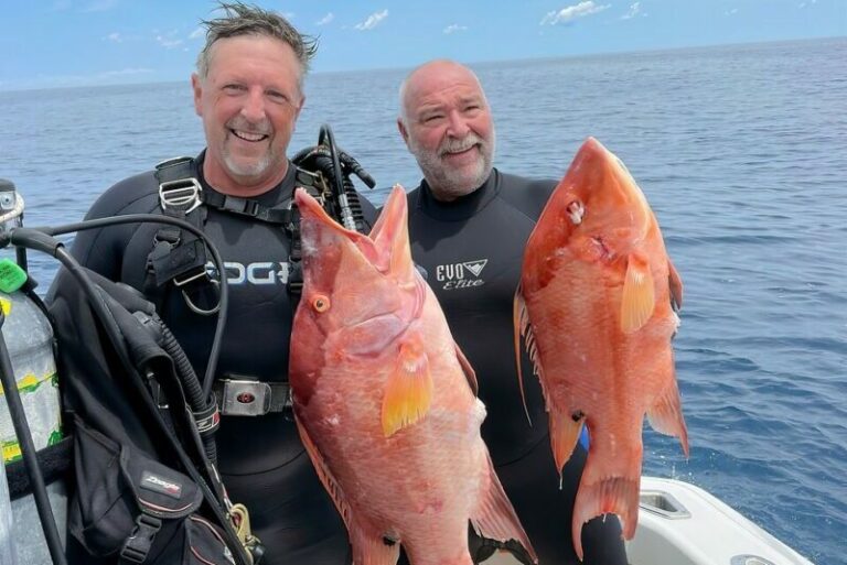 Shark Tooth Diving, Spearfishing 100 Feet Deep! - Carolina Traveler