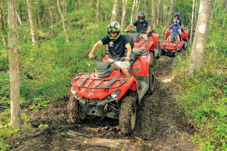 Shallotte River Swamp Park: Take On Aerial Adventures At An Alligator ...