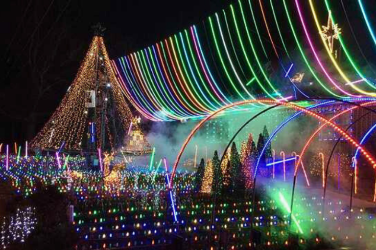 The 10 Best Christmas Lights in South Carolina
