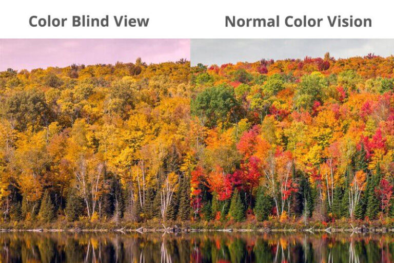 Fall Colors Giveaway: We're Giving Away 2 Free Glasses In Support Of ...