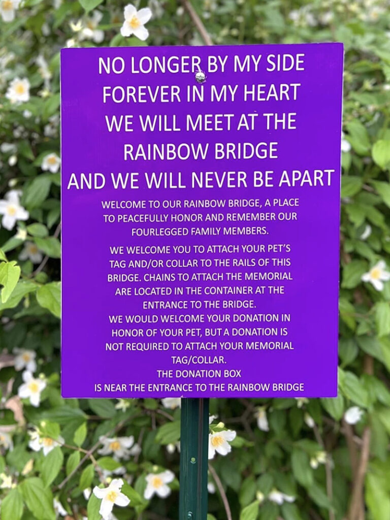 The Healing Embrace of the Rainbow Bridge: A Sanctuary for Love and Remembrance in Lake Lure ...