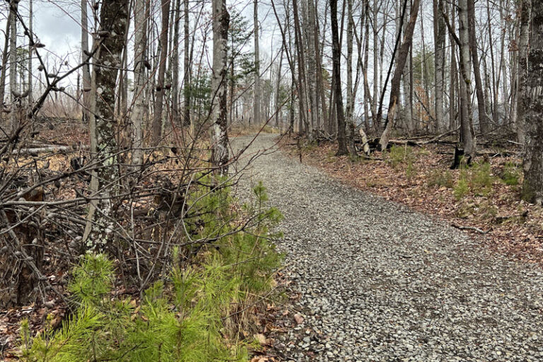 Hiking Stone Mountain and Savoring Elkin - Carolina Traveler