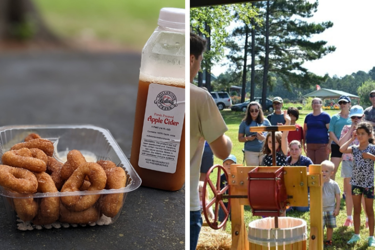 NC & SC Apple Orchards: Our 2024 Favorite Picks