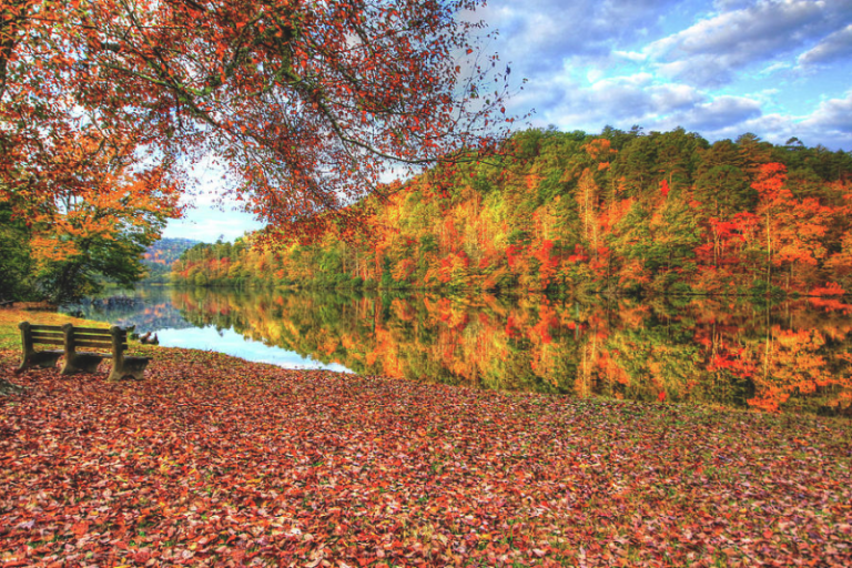 Chasing Fall Colors On The Best Leaf-Peeping Road Trips - Carolina Traveler