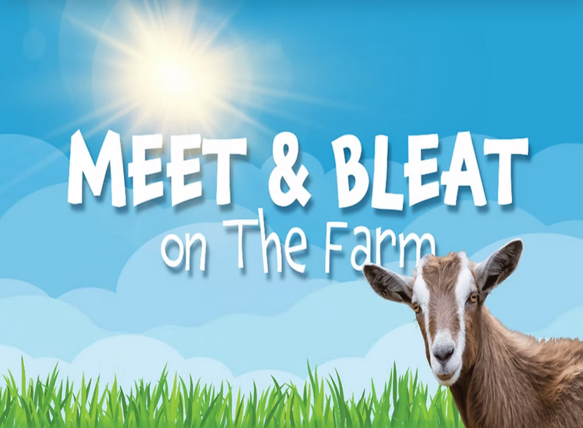 Meet & Bleat - Carolina Traveler